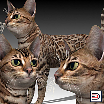 Second Life Marketplace - [Danielito] Snow Sepia Bengal Cat
